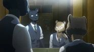 Tao | Beastars Wiki | Fandom