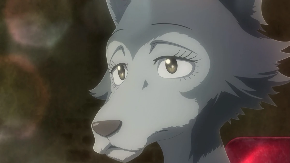 Toki | Beastars Wiki | Fandom