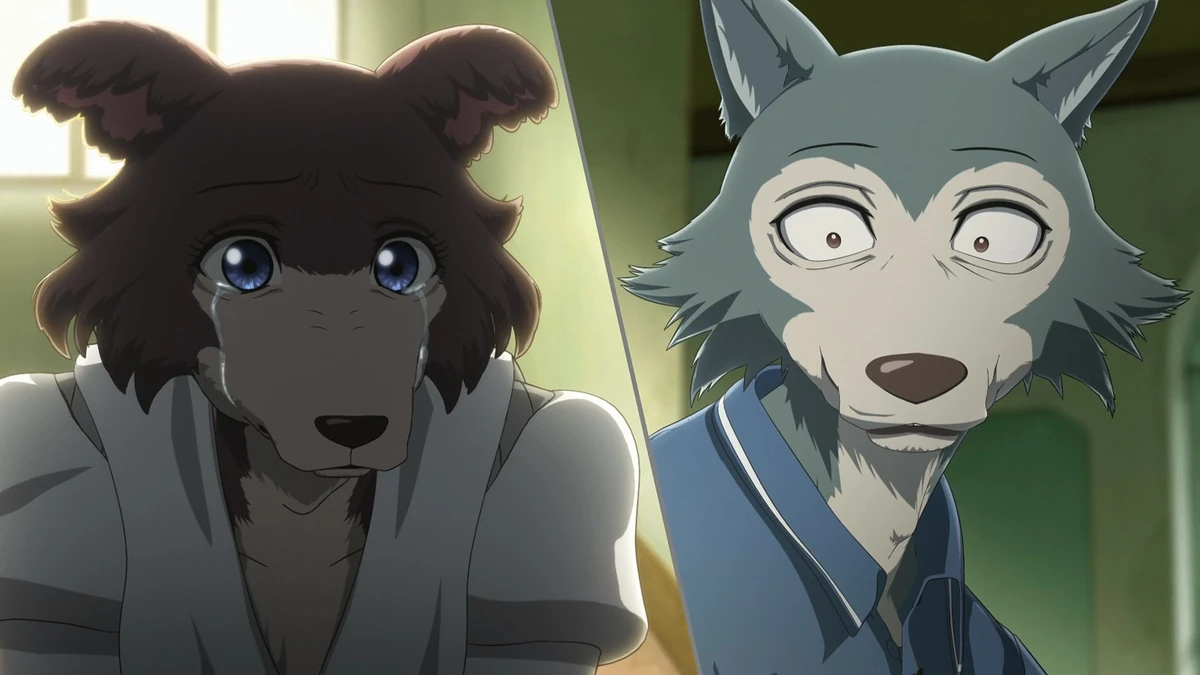 Juno/Historia | Beastars Wiki | Fandom