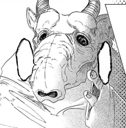 Saiga | Beastars Wiki | Fandom