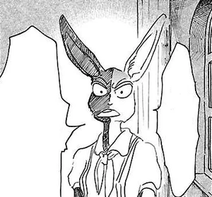 Mizuchi | Beastars Wiki | Fandom
