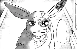 Ako | Beastars Wiki | Fandom