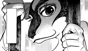 Cosmo | Beastars Wiki | Fandom