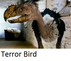 Terror Bird | Beastipedia Wiki | Fandom