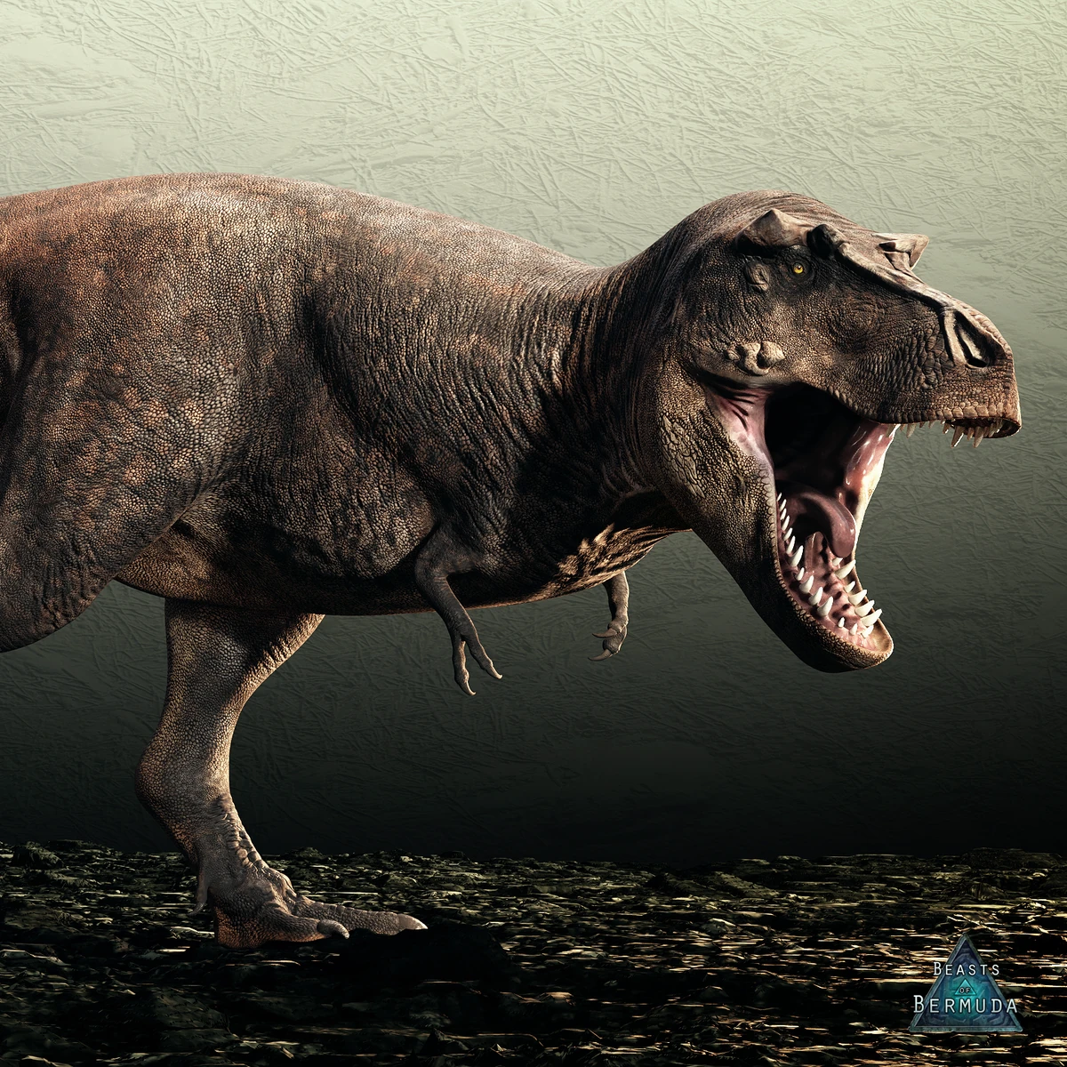 Tyrannosaurus Rex | Beast of Bermuda Wiki | Fandom