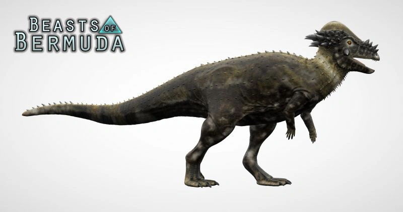 Pachycephalosaurus | Beast of Bermuda Wiki | Fandom