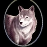 Silver | Beast Quest | Fandom