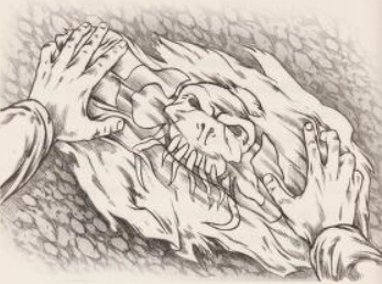 Pirates of Makai | Beast Quest Wiki | Fandom