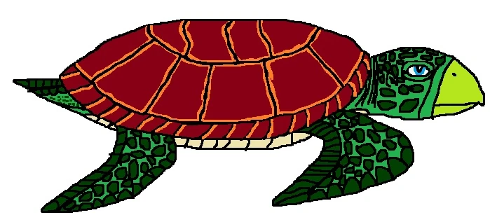 Turtlefire | Beast Wars Transformers Wiki | Fandom