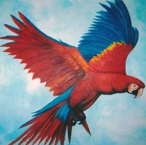 Scarlet Macaw | Beast Wars Transformers Wiki | Fandom