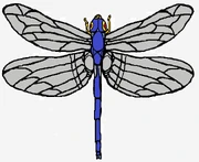 Mardel | Beast Wars Transformers Wiki | Fandom