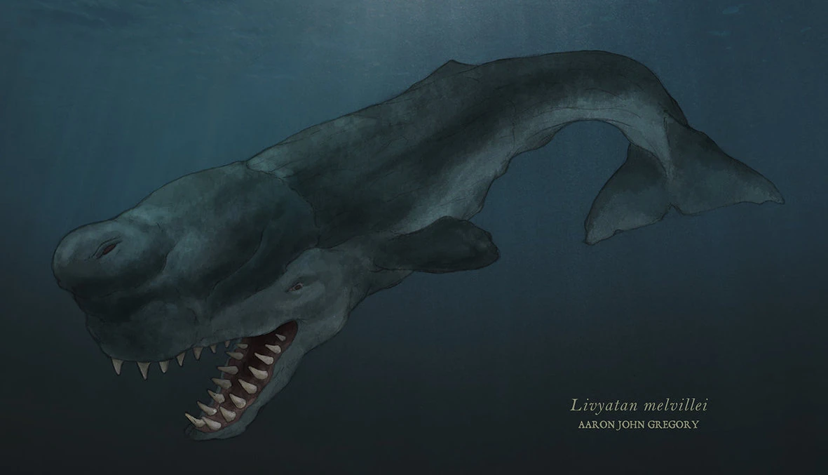Leviathan Melvillei