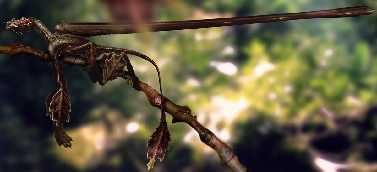 Fan lizard | Beast Wars Transformers Wiki | Fandom