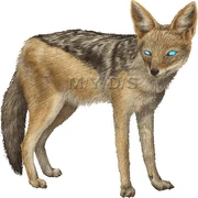 Squeaks (BW) | Beast Wars Transformers Wiki | Fandom