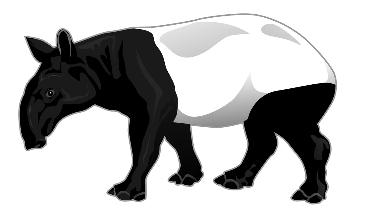 Tapir | Beast Wars Transformers Wiki | Fandom