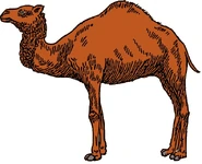 Thundercamel | Beast Wars Transformers Wiki | Fandom