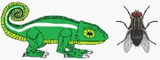 Chamey the chameleon | Beast Wars Transformers Wiki | Fandom
