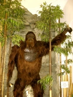 Gigantopithecus | Beast Wars Transformers Wiki | Fandom