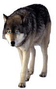 Streetwise (BW) | Beast Wars Transformers Wiki | Fandom