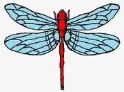 Windsweeper (BW) | Beast Wars Transformers Wiki | Fandom