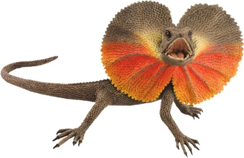 Frilled Lizard | Beast Wars Transformers Wiki | Fandom