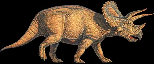 Triceratops | Beast Wars Transformers Wiki | Fandom