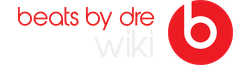 Diddybeats | Beats by Dre Wiki | Fandom