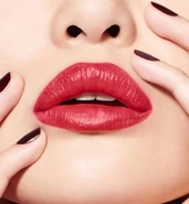 Dior:Sydney 644 Rouge Dior | Beauty Lifestyle Wiki | Fandom