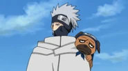 Pakkun (Naruto) | Snazzyfluff Wiki | Fandom