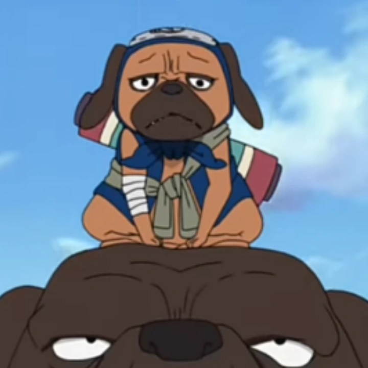 Pakkun (Naruto) | Snazzyfluff Wiki | Fandom