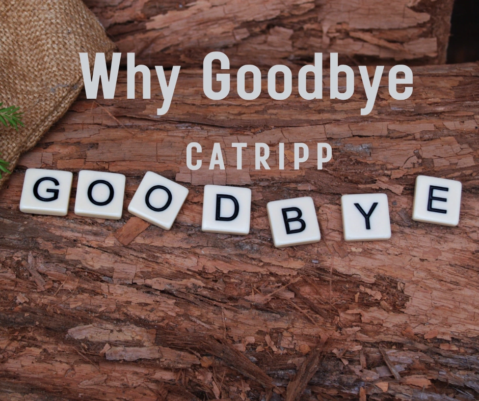 Why Goodbye | Snazzyfluff Wiki | Fandom