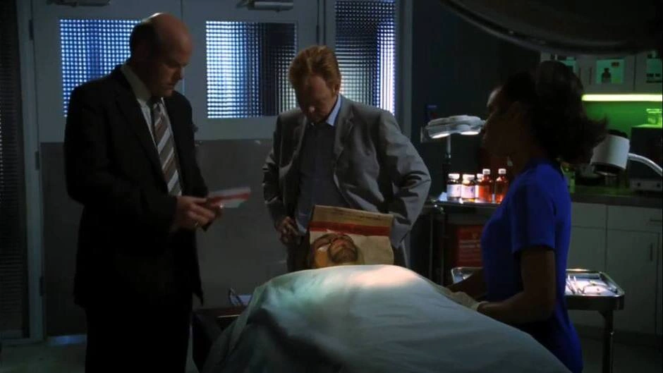 Horatio Caine & Frank Tripp & Alexx Woods | Snazzyfluff Wiki | Fandom