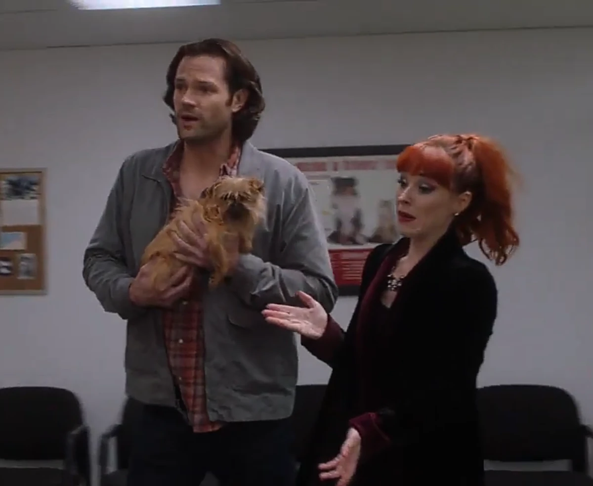 Samwena | Snazzyfluff Wiki | Fandom