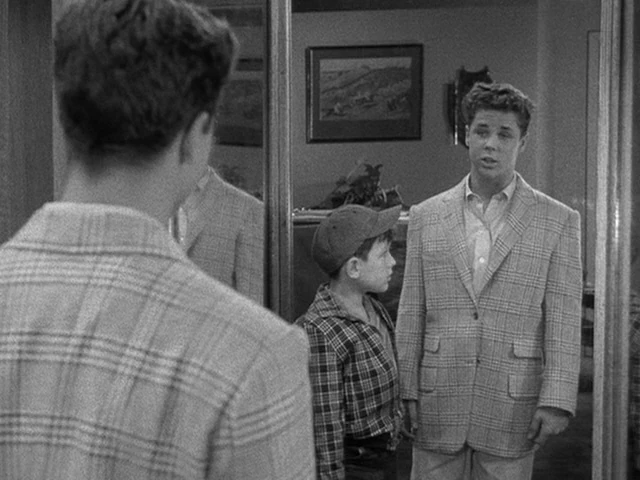 Wally's New Suit | Leave it to Beaver Wiki | Fandom