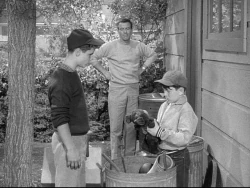 Beaver's Old Friend | Leave it to Beaver Wiki | Fandom