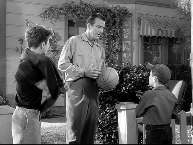 The Perfect Father | Leave it to Beaver Wiki | Fandom