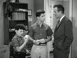 Ward's Baseball | Leave it to Beaver Wiki | Fandom