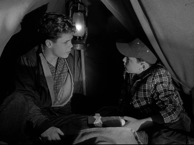 Tenting Tonight | Leave it to Beaver Wiki | Fandom