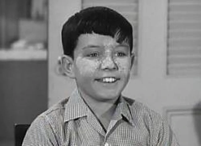 Beaver's Freckles | Leave it to Beaver Wiki | Fandom