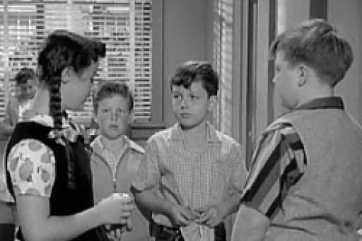 The Cookie Fund | Leave it to Beaver Wiki | Fandom