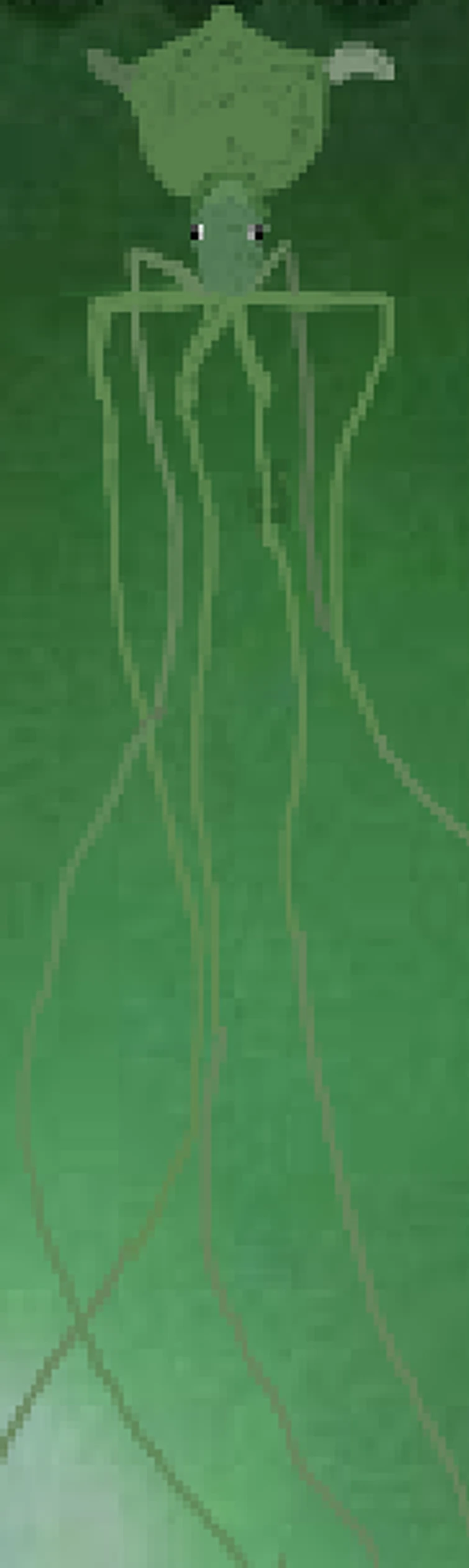 Magnapinna / bigfin squid | Fandom