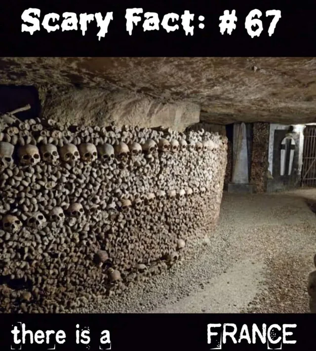 daily meme #67: scary fact #67 | Fandom