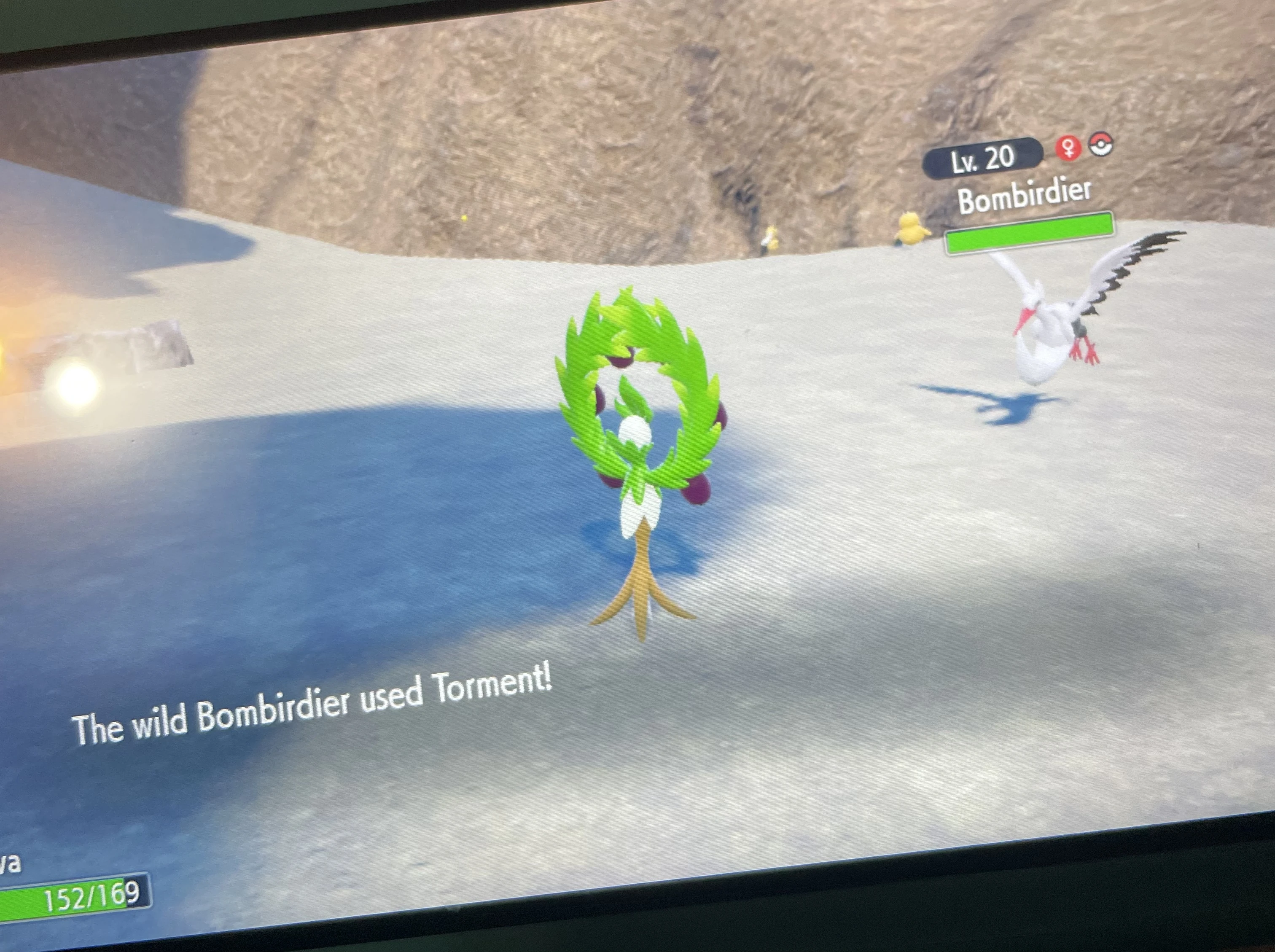 I think she used it on the wrong Pokémon | Fandom