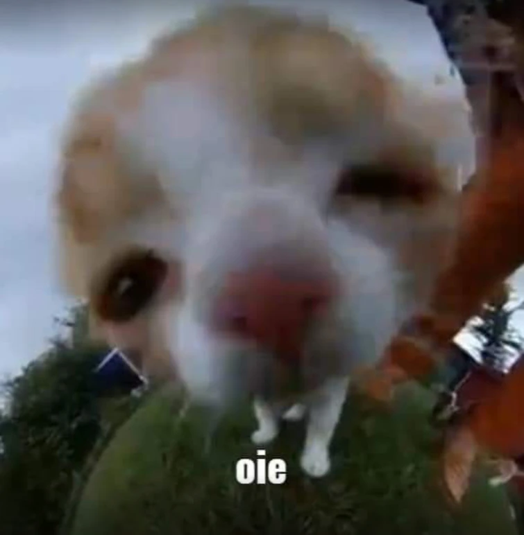 would you marry me | Fandom