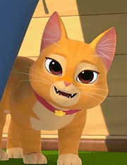 Boo the Cat | Bebefinn Wiki | Fandom