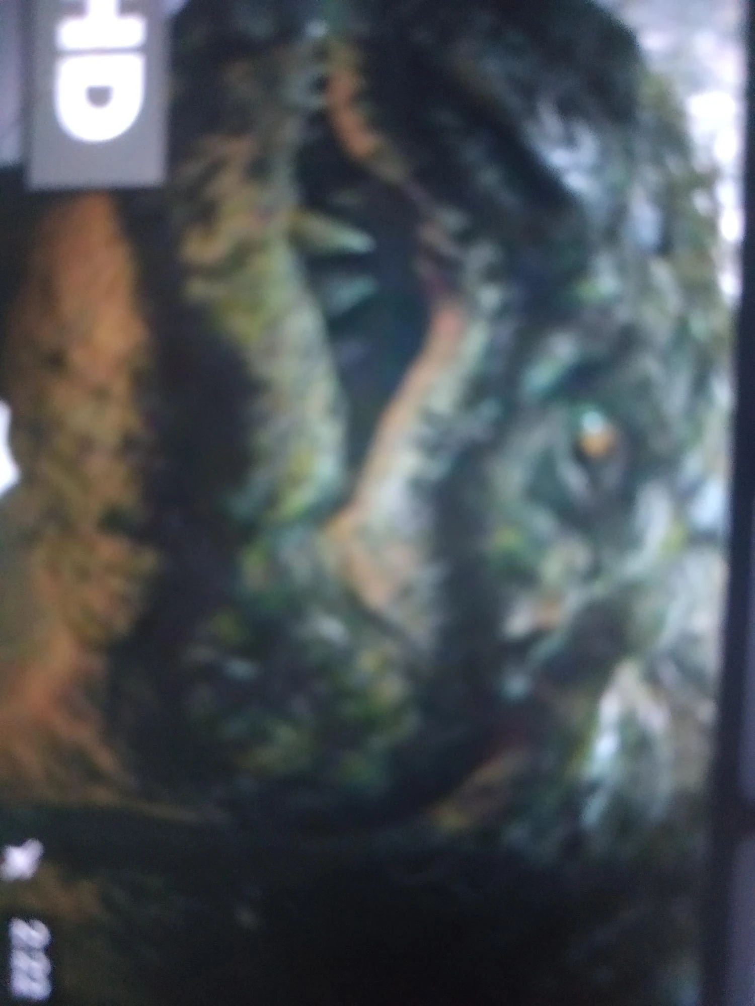 Spiderwick Chronicle Sound Roar with D-Wars 2007 Good Imoogi Celestial ...