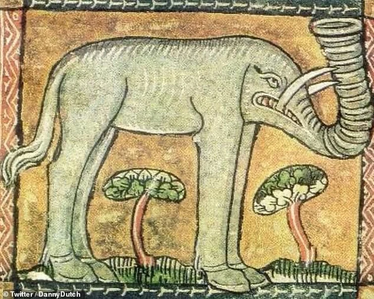 Elephants | Fandom