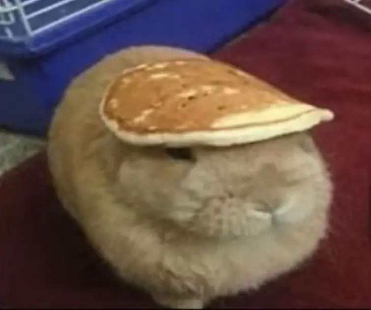 Is there a way to reset renown | Fandom