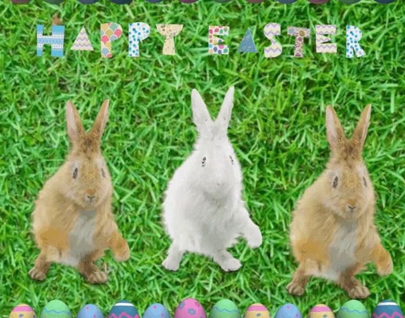 Happy Easter | Fandom