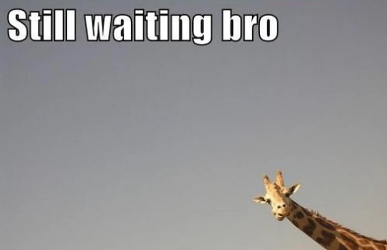 Me waiting for today's Developer News: | Fandom